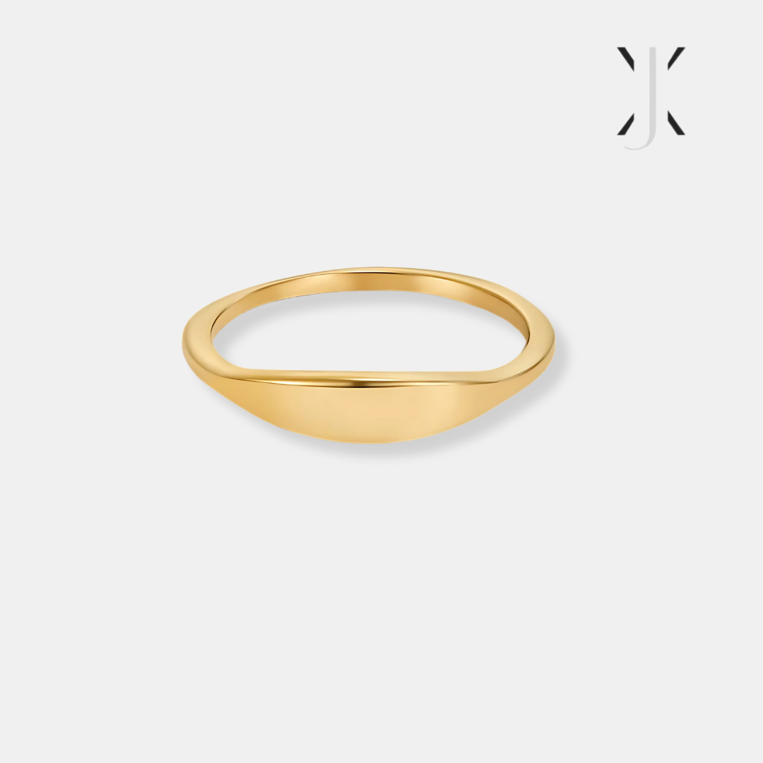 Pipa Gold Signet Ring – JEWLOX